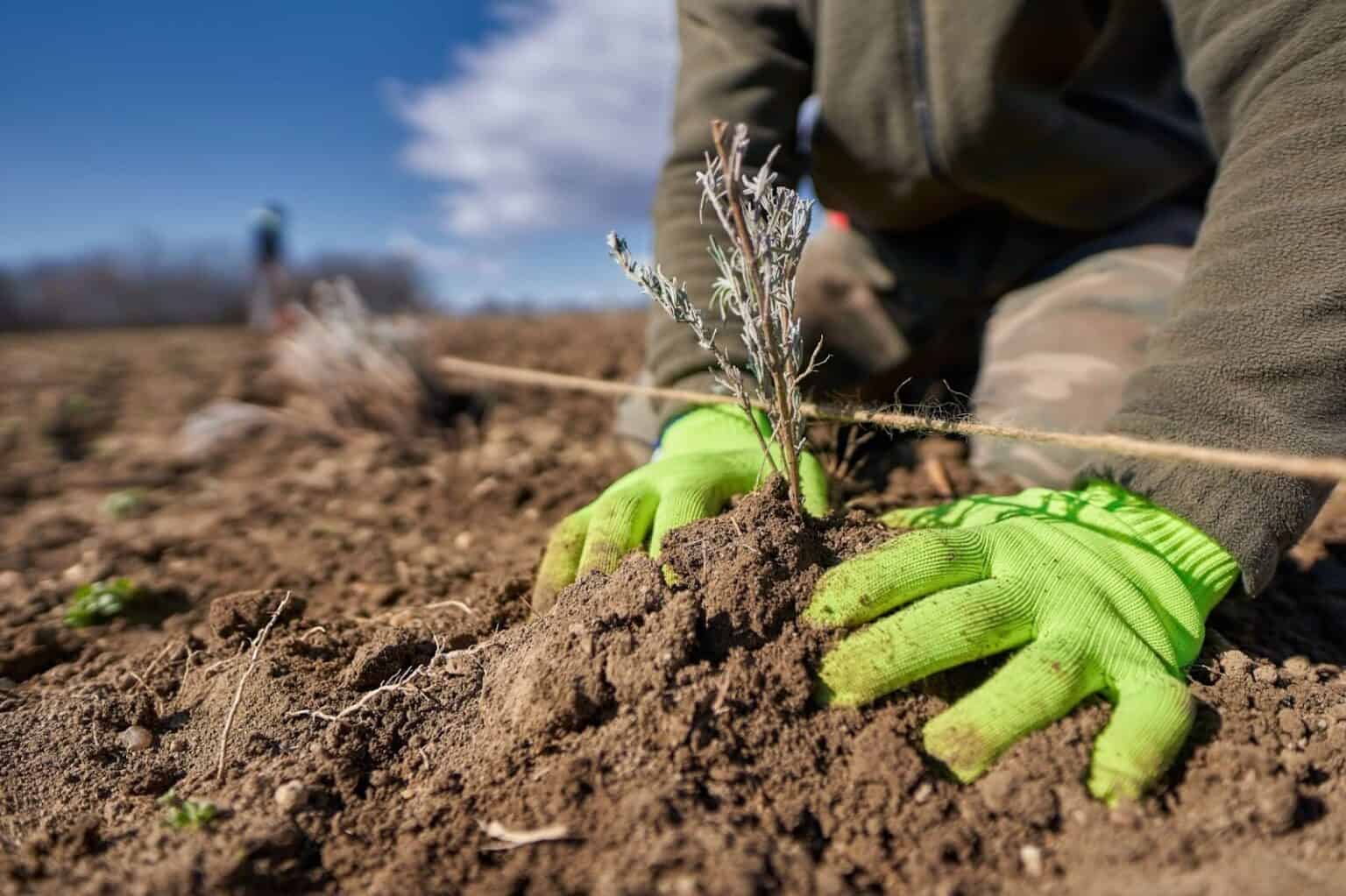 7 Effective Erosion Control Measures - Muller, Inc.