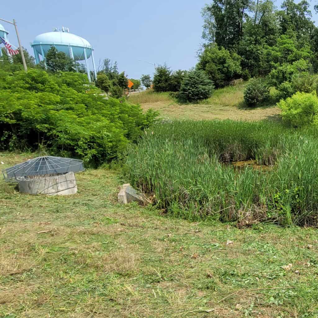 Summer Stormwater Maintenance Tips
